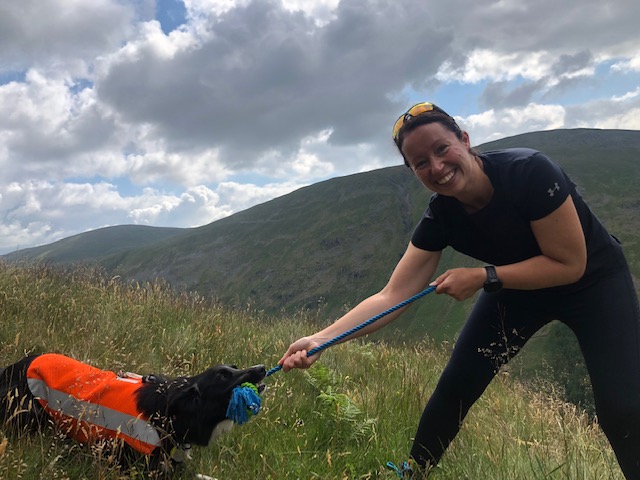 Dogs Bodies - Lake District Mountain Rescue Search Dogs