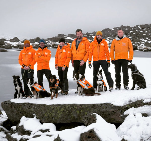 Scotland Training Week - Lake District Mountain Rescue Search Dogs